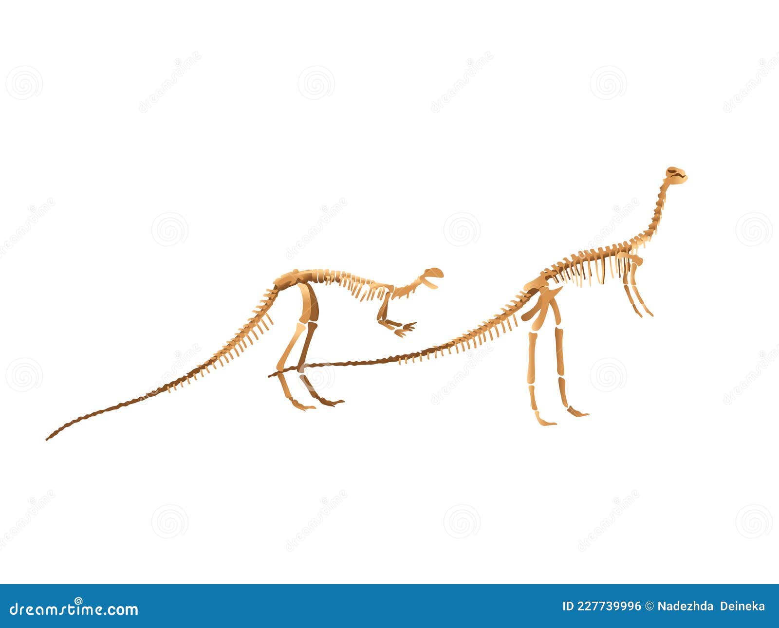 Gallimimus Skeleton, Illustration, Drawing, Engraving, Ink, Line Art ...