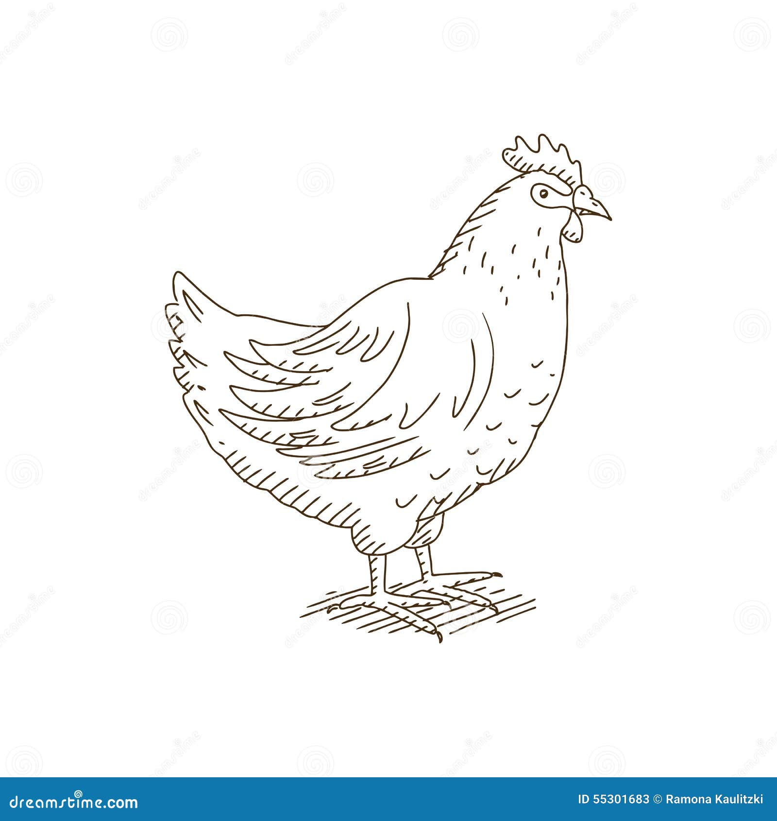 Gallina disegnata a mano illustrazione di stock. Illustrazione di ...