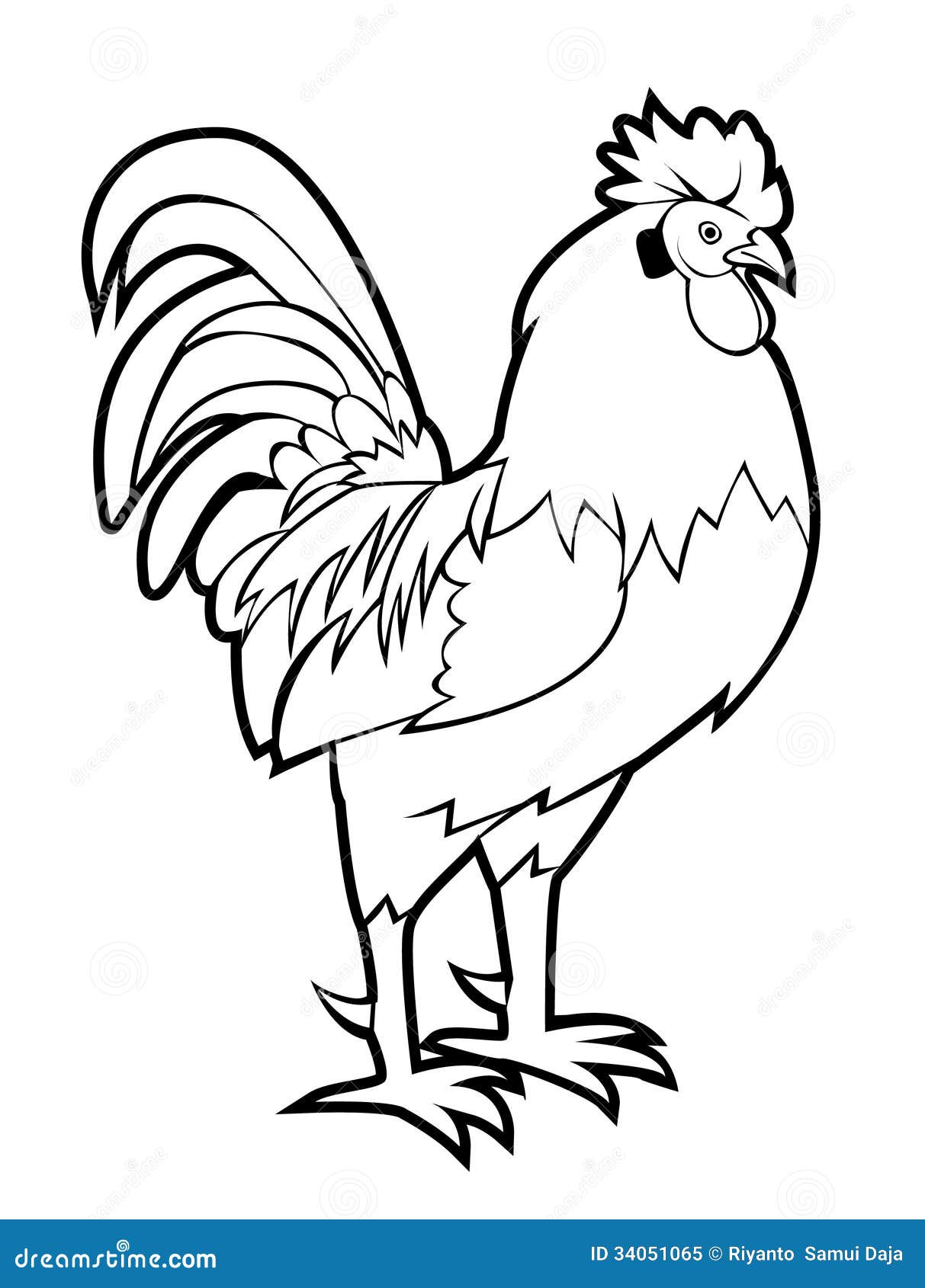 Gallo illustrazione vettoriale. Illustrazione di grafico - 34051065