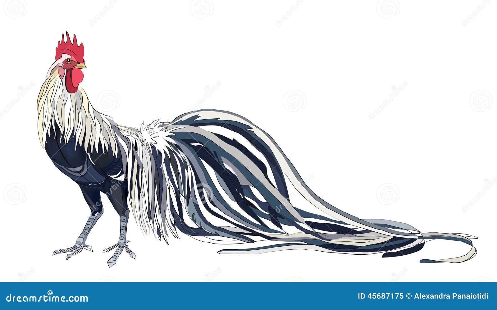 Gallo de cola larga stock de ilustración. Ilustración de tonel - 45687175
