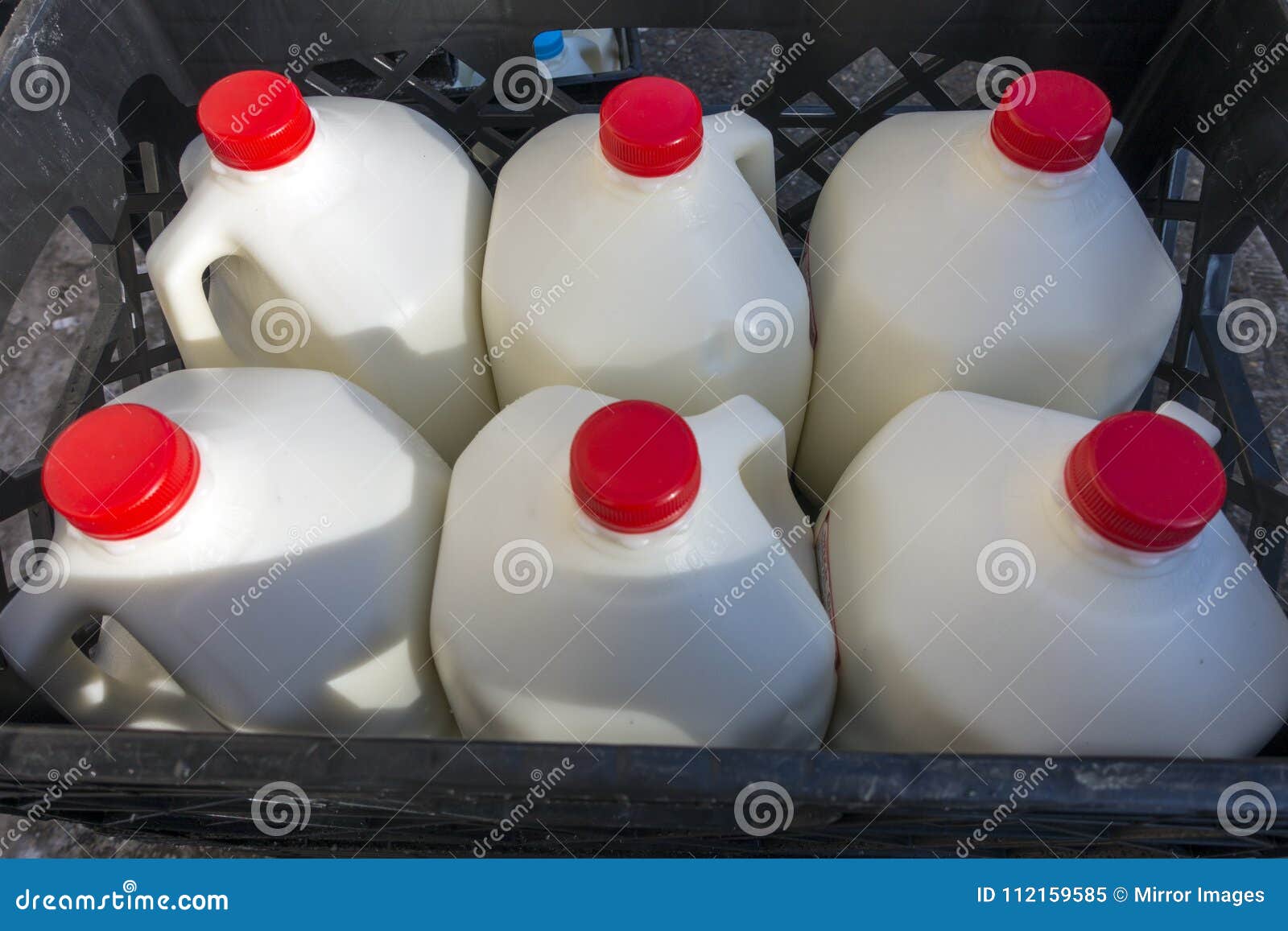 Gallone Del Mercato Della Consegna Del Latte Immagine Stock - Immagine ...