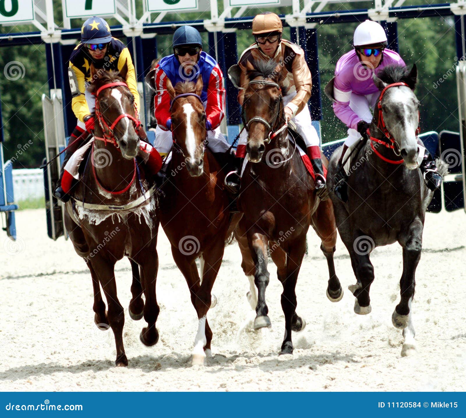 Gallop. editorial stock image. Image of pyatigorsk, jockey - 11120584