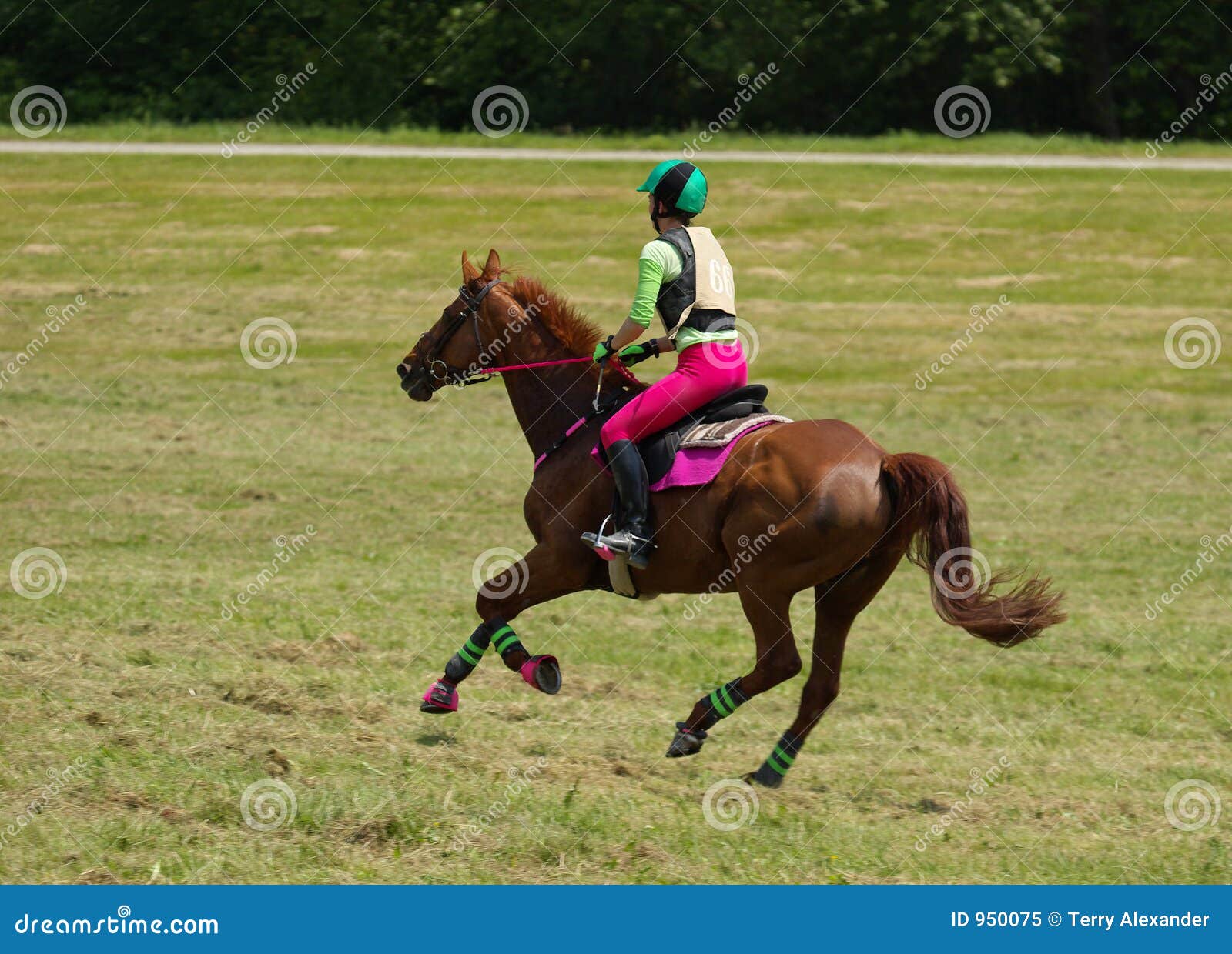 Gallop stock image. Image of speed, horse, mane, jockey - 950075