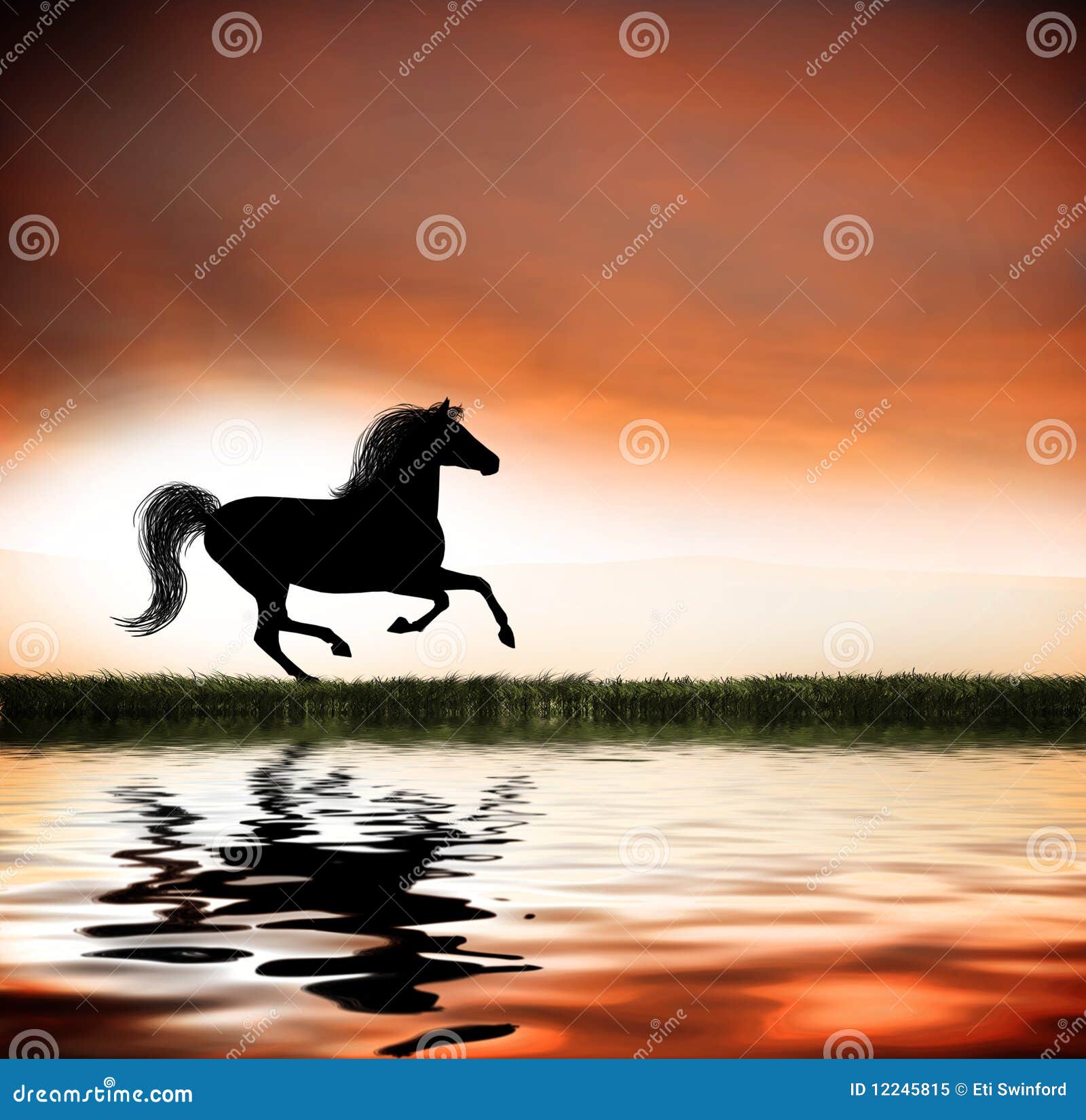 Galloping Cartoons, Illustrations & Vector Stock Images - 3364 Pictures ...