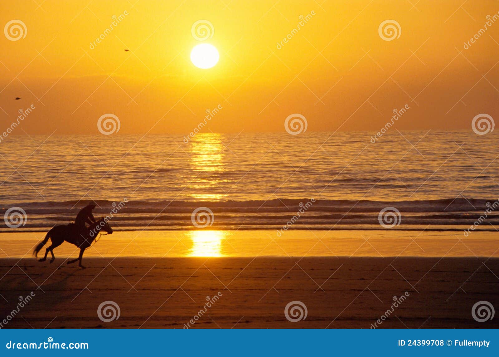 Galloping Horse and Rider at Sunset on the Beach Stock Photo - Image of ...