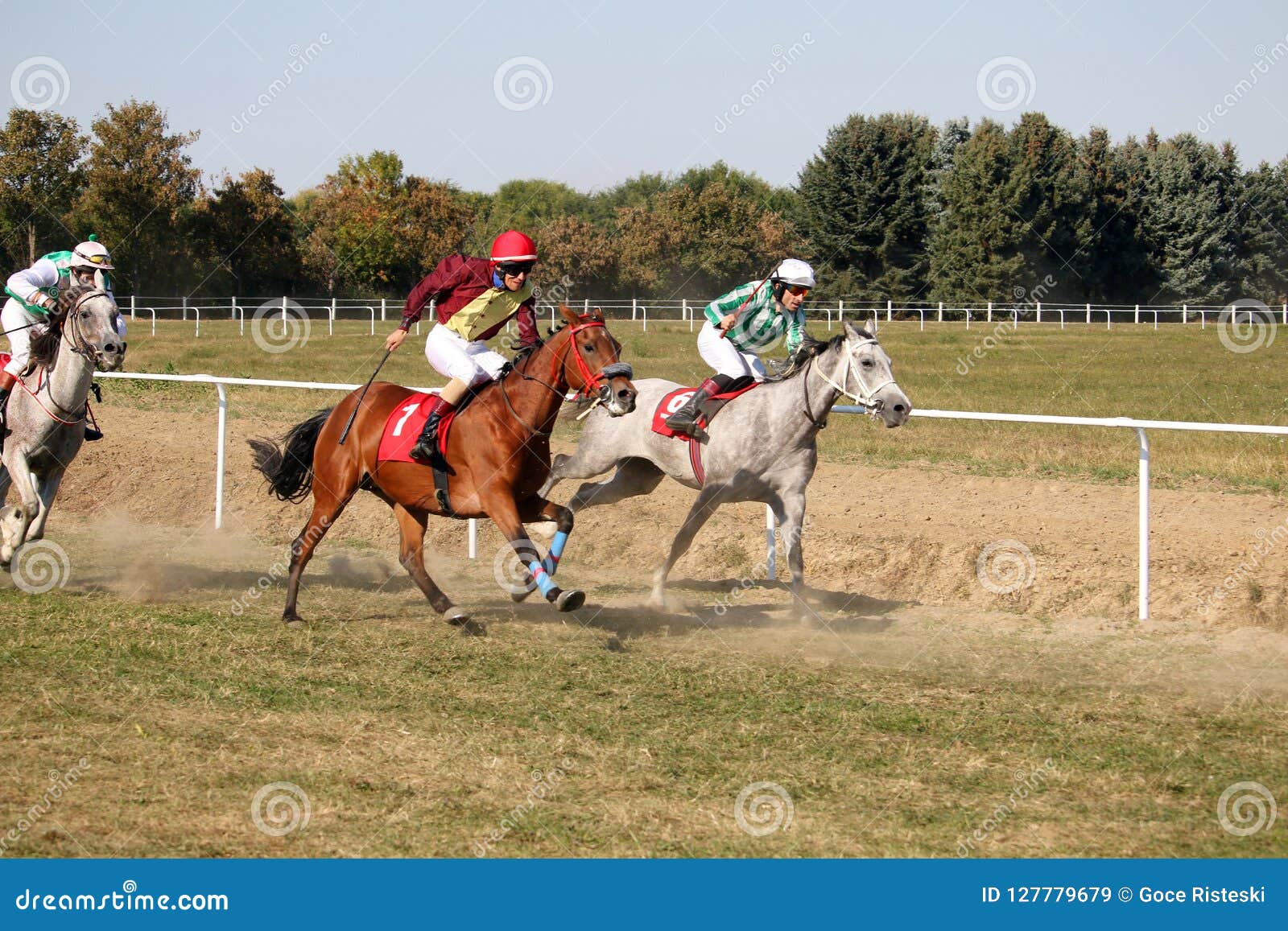 Galloping Race Horses and Jockeys Editorial Stock Image - Image of ...