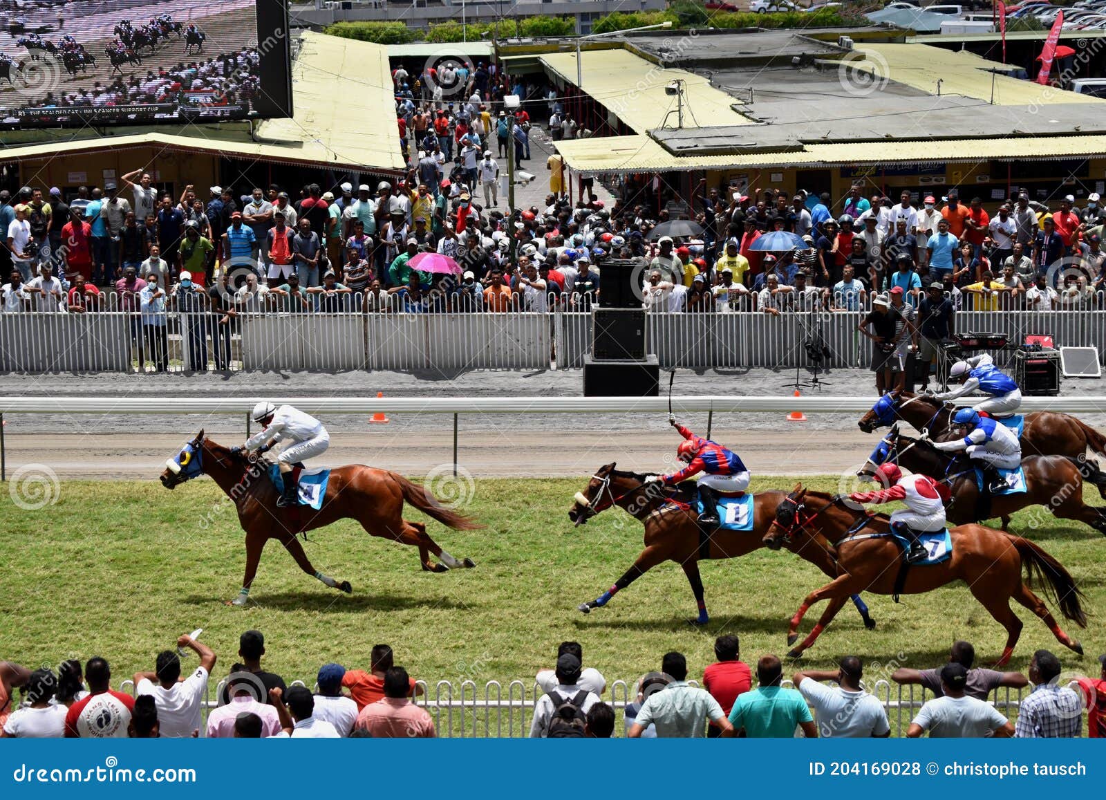Galloping Race Horses in Racing Competition, Popular Event. Editorial ...