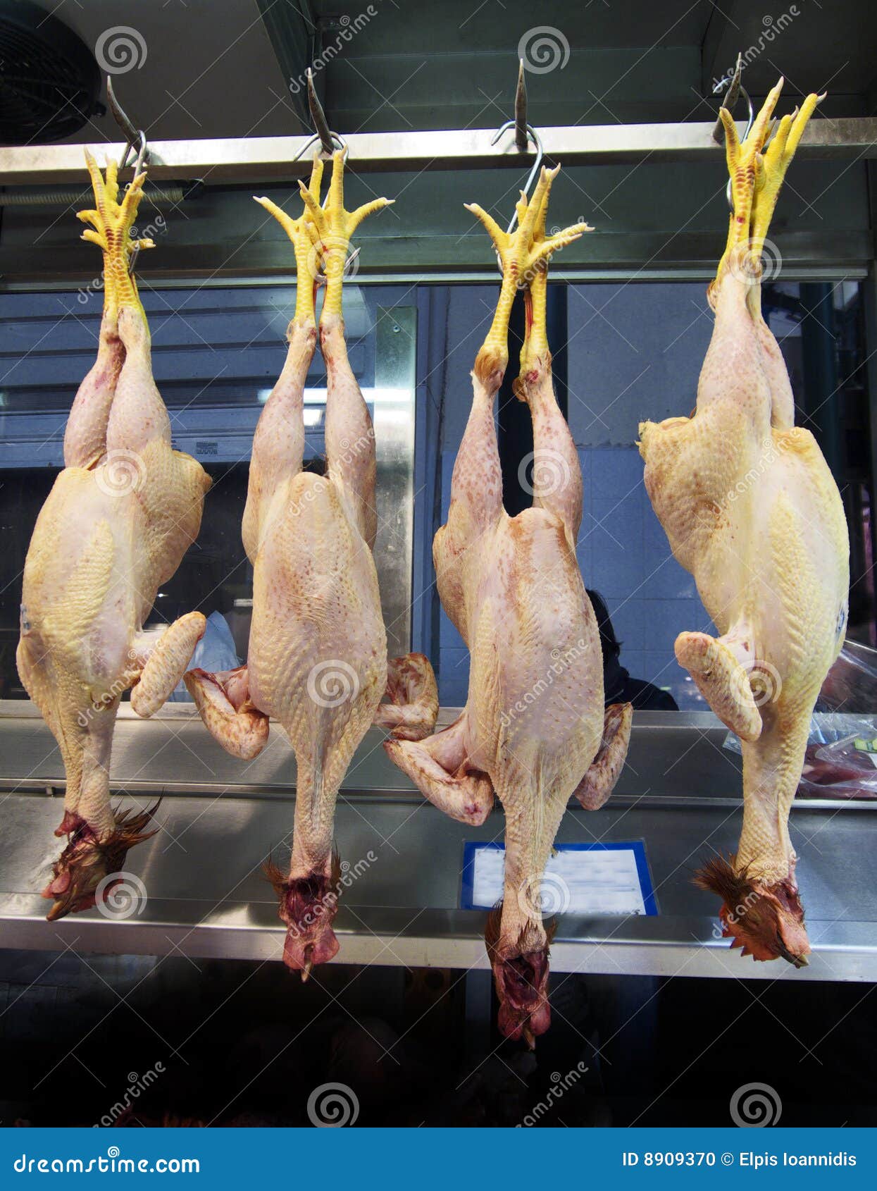 Gallos muertos foto de archivo. Imagen de sangriento, carnicero - 8909370