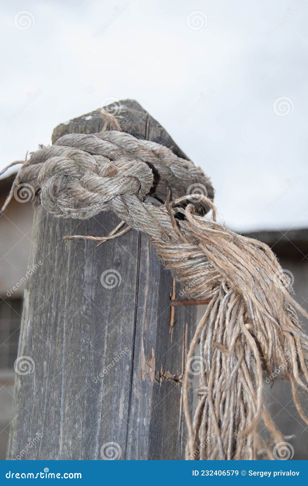 Gallows Rope With Knot Stock Image | CartoonDealer.com #23358949
