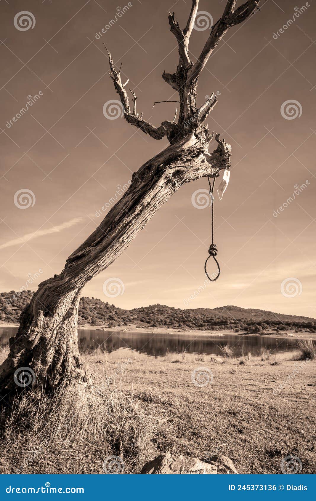 Gallows Tree Stock Photos - Free & Royalty-Free Stock Photos from ...