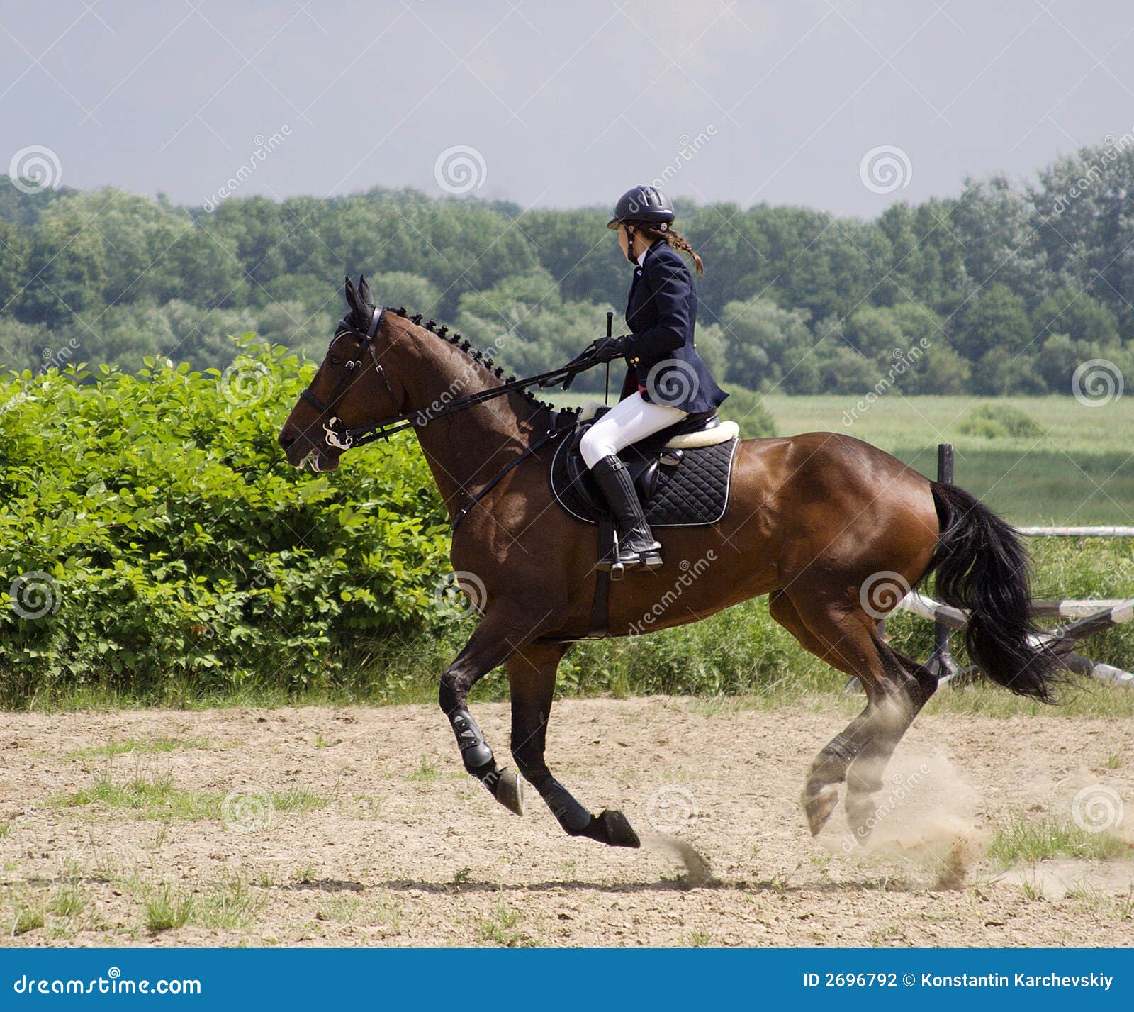 Galop de cheval photo stock. Image du activité, harnais - 2696792