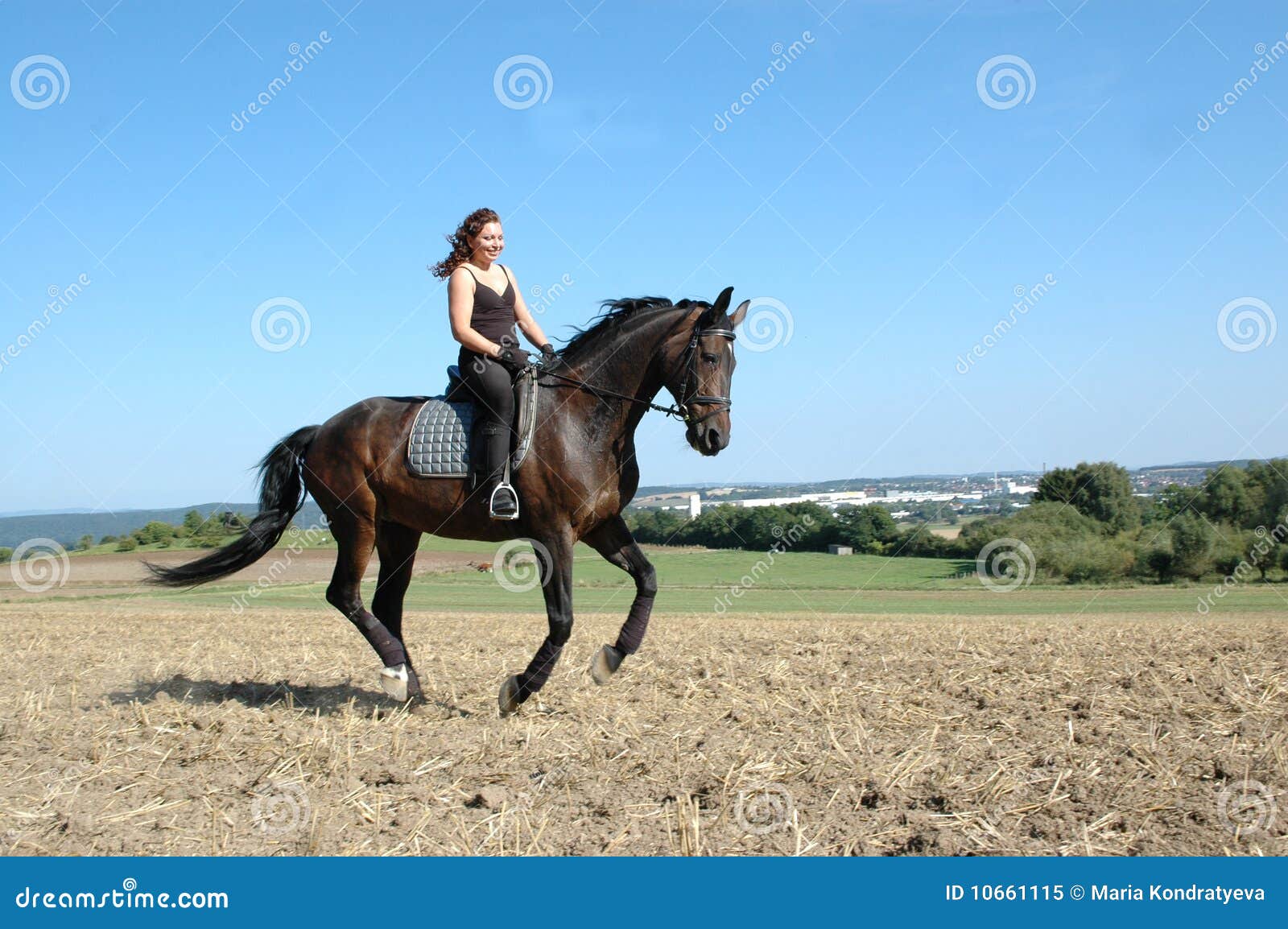 Galop. Paard en ruiter. stock afbeelding. Image of galop - 10661115