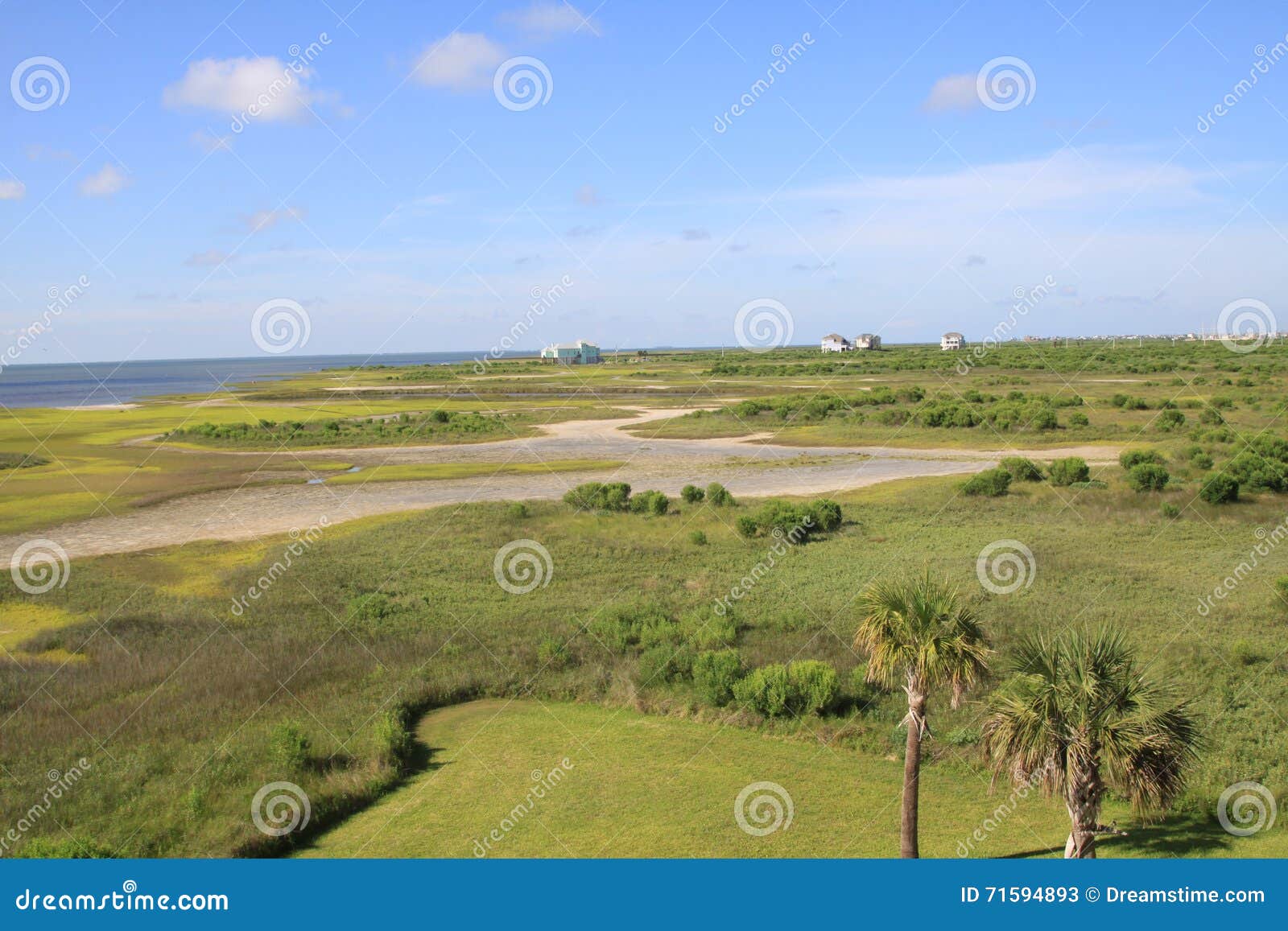 Galveston Shore Line stock image. Image of shore, texas - 71594893