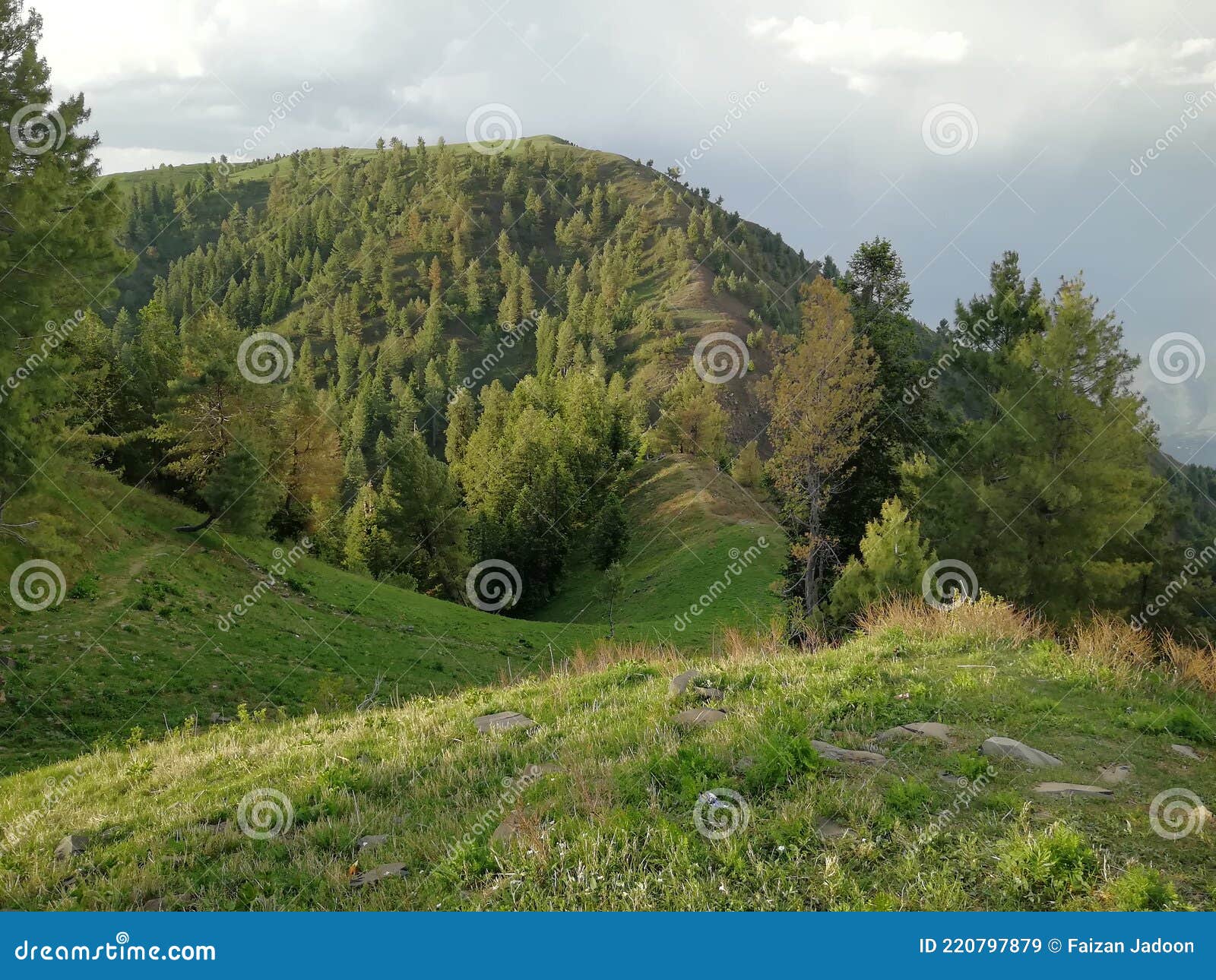 Galyat Pakistan stock image. Image of landscape, woodland - 220797879