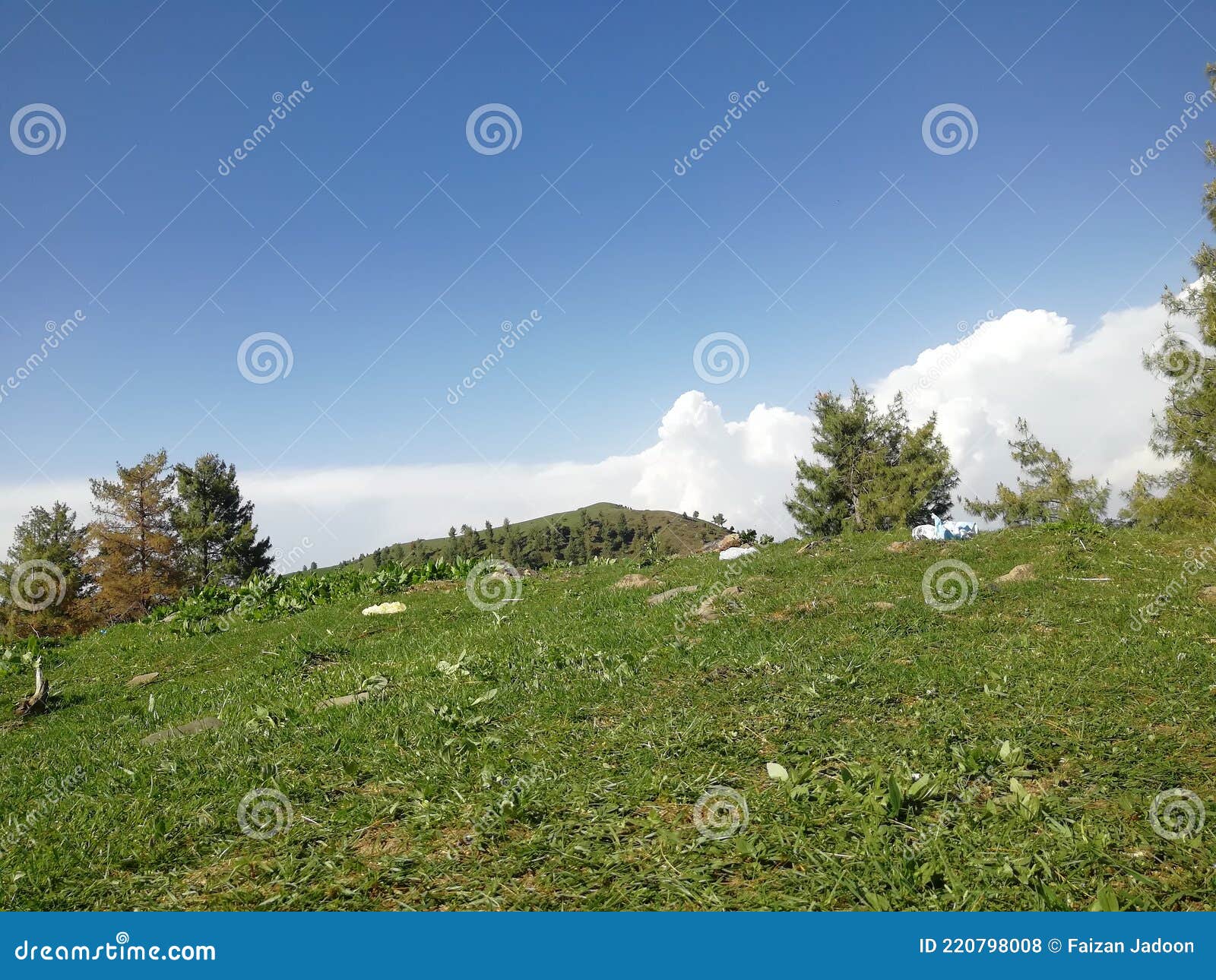 Galyat Pakistan stock photo. Image of mountain, meadow - 220798008