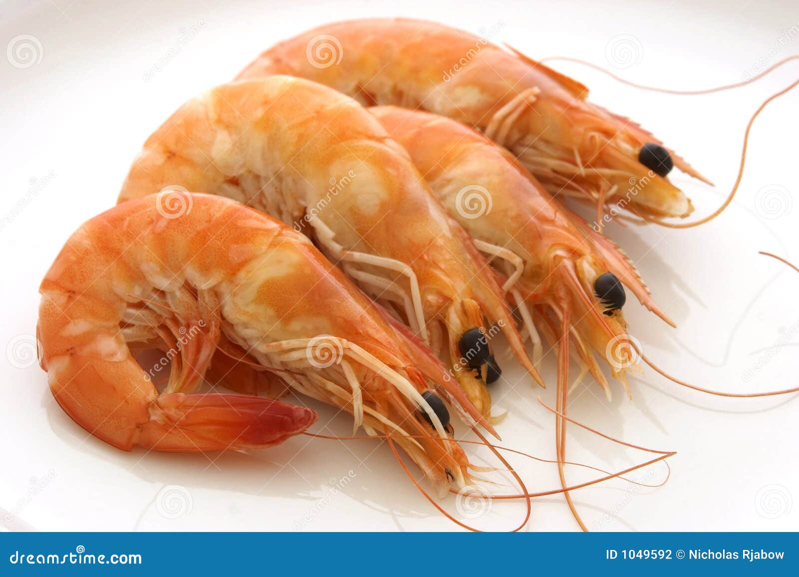 Gambas foto de archivo. Imagen de piernas, ojos, sabroso - 1049592