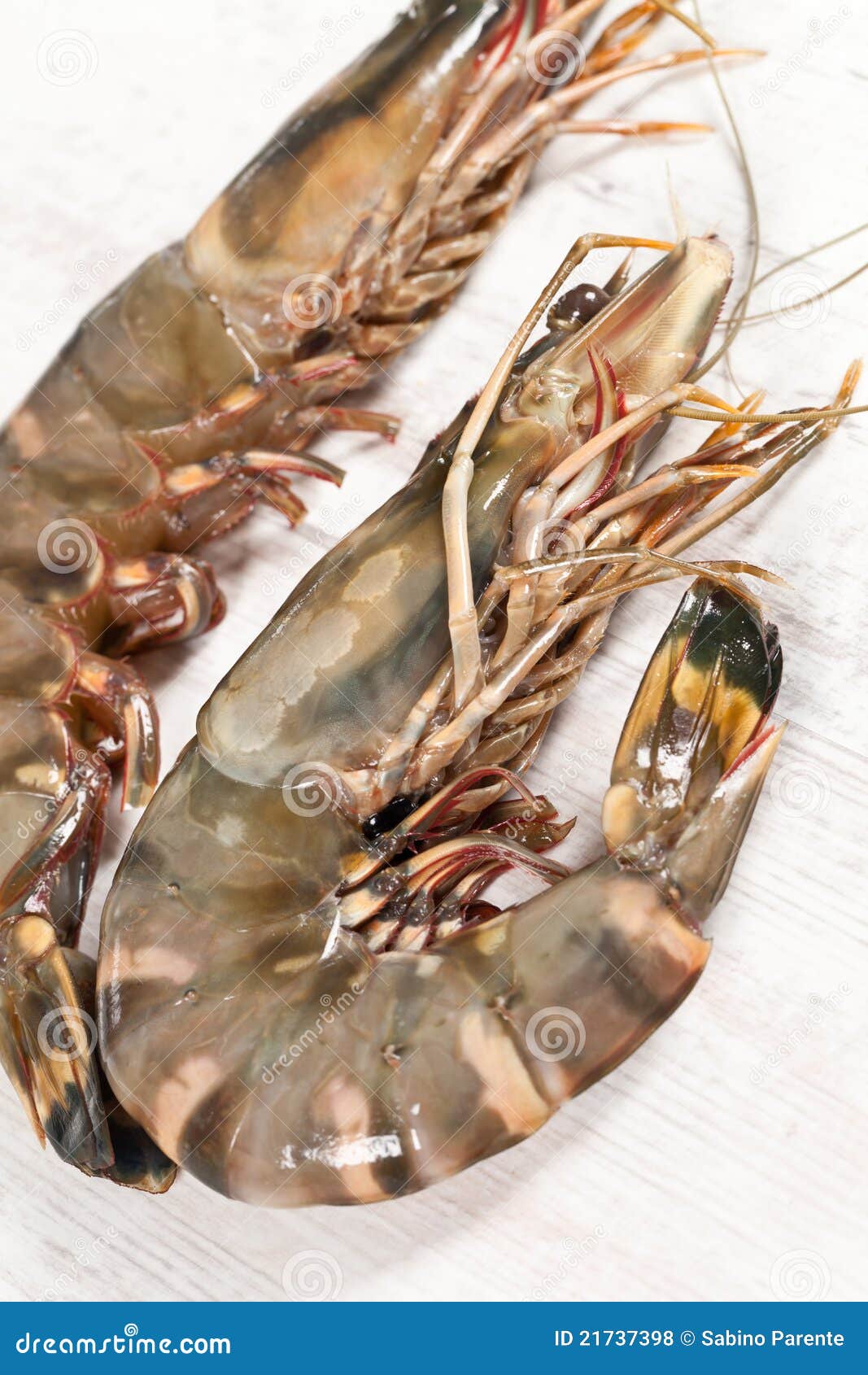 Gambas stock photo. Image of crustacean, food, healthy - 21737398