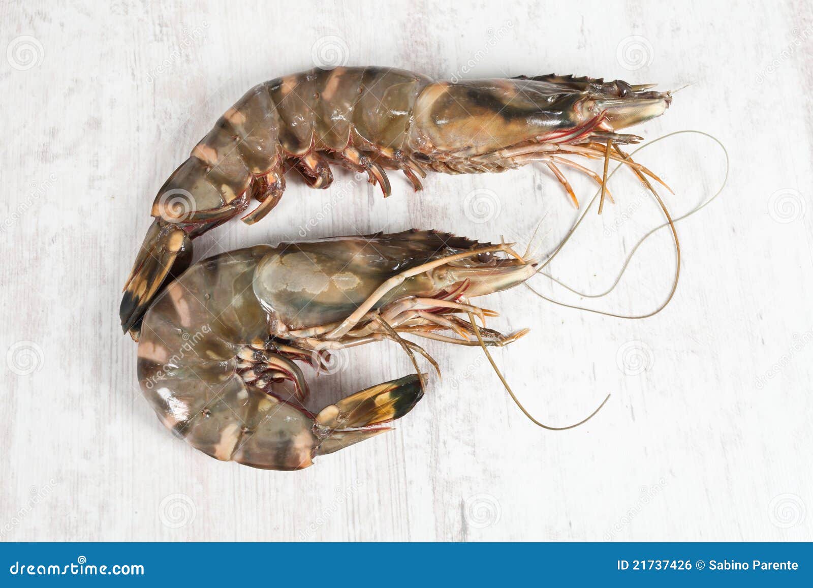 Gambas stock photo. Image of scampi, healthy, food, shrimp - 21737426