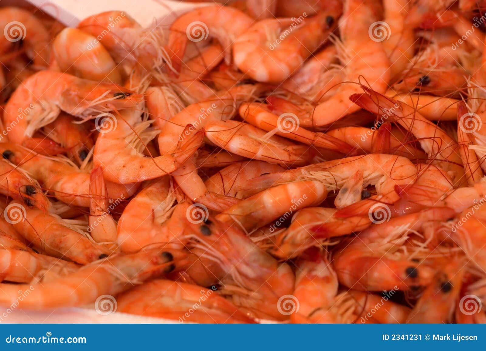 Gambas stock image. Image of food, lifestyle, shrimps - 2341231