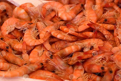 Gambas stock image. Image of food, lifestyle, shrimps - 2341231