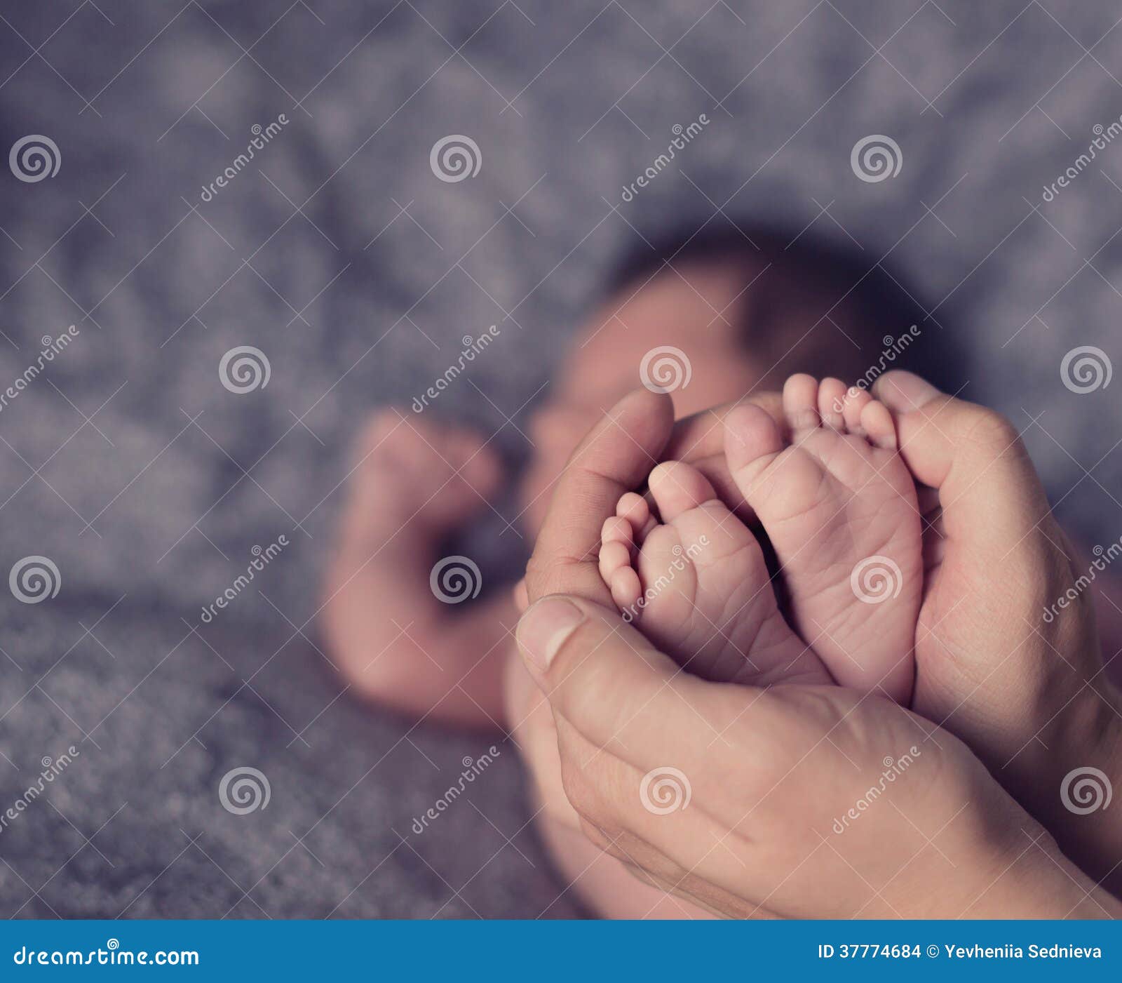 Gambe Del Neonato in Mani Dei Genitori Fotografia Stock - Immagine di ...