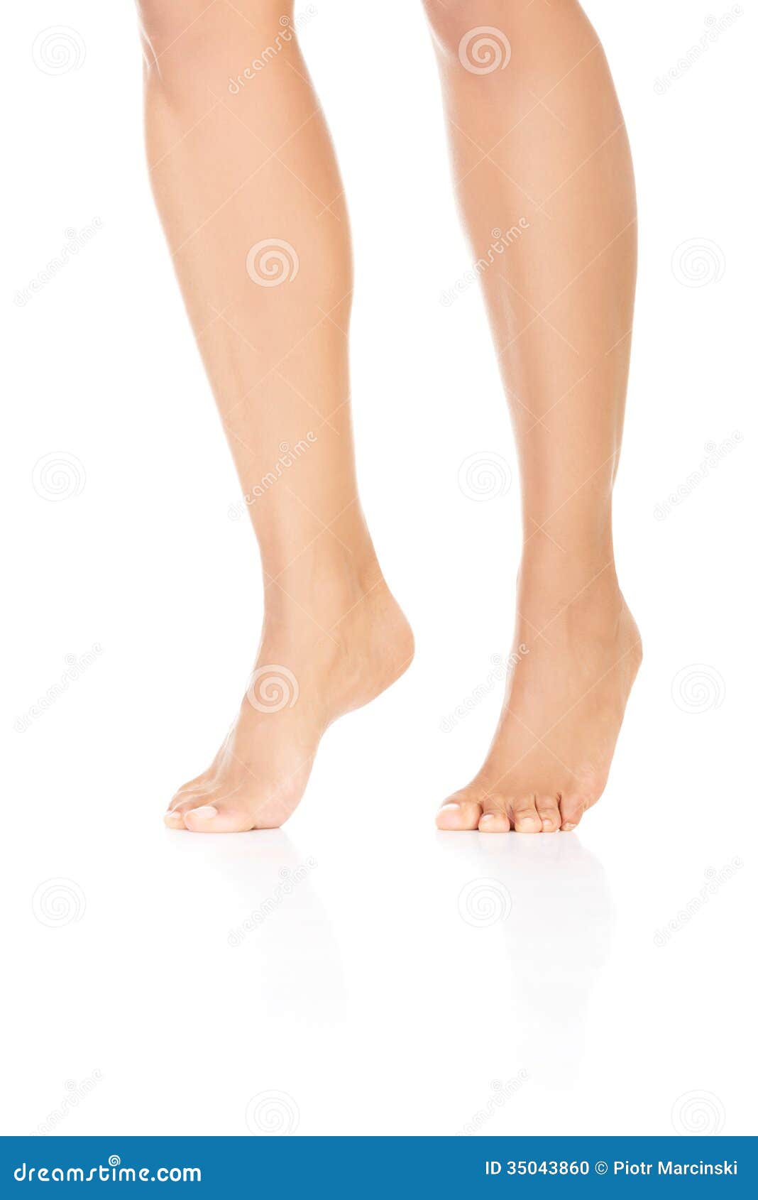 Gambe Femminili Attraenti. Verticale. Fotografia Stock - Immagine di ...