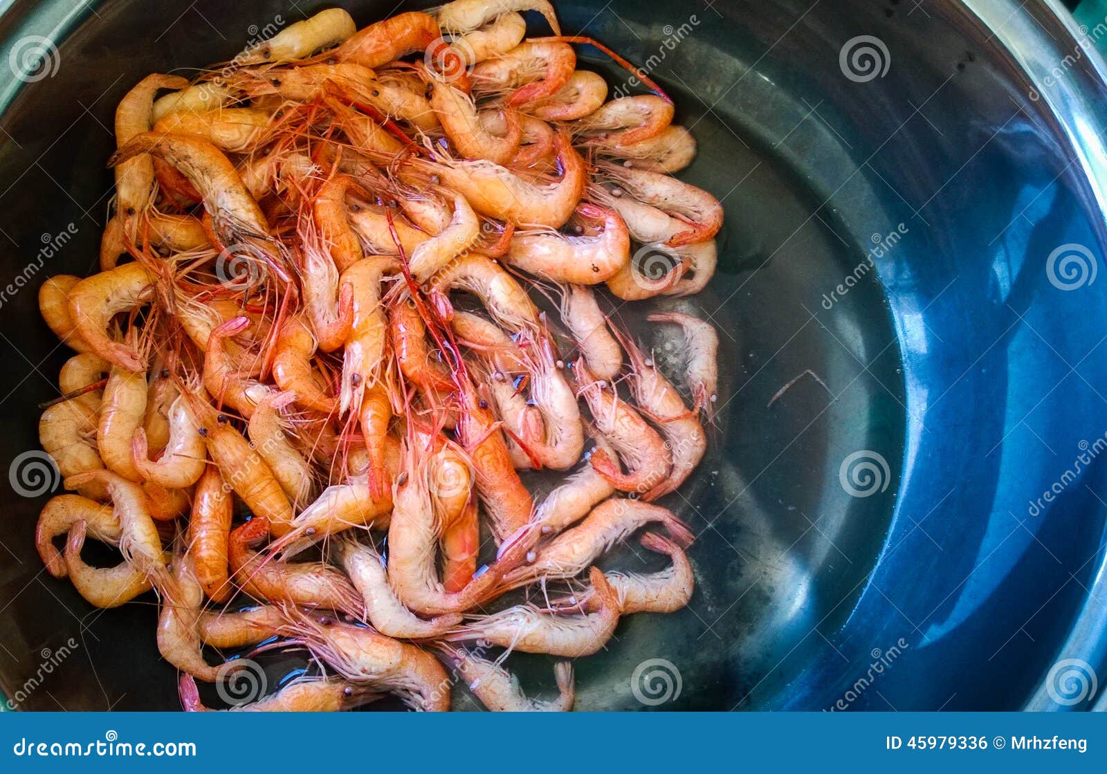 Gambero fotografia stock. Immagine di acqua, nutrizione - 45979336