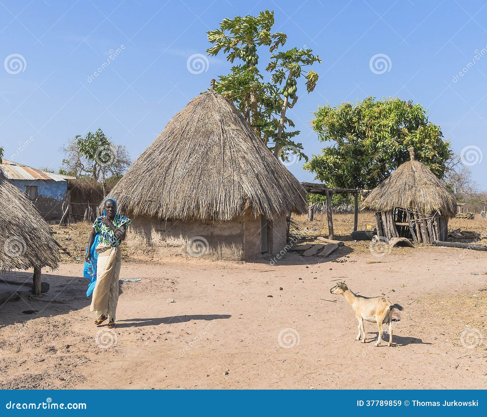 Gambian village editorial stock image. Image of cottages - 37789859