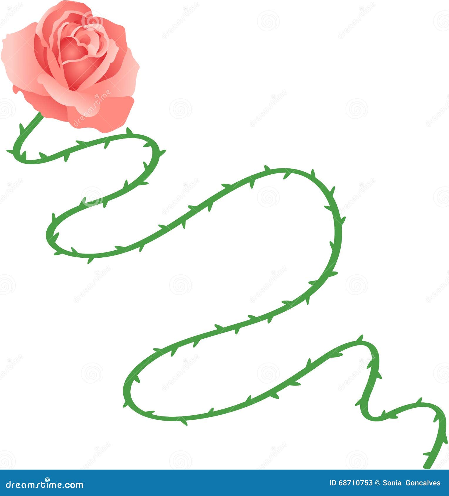 Gambo lungo di Rosa illustrazione vettoriale. Illustrazione di mazzo ...