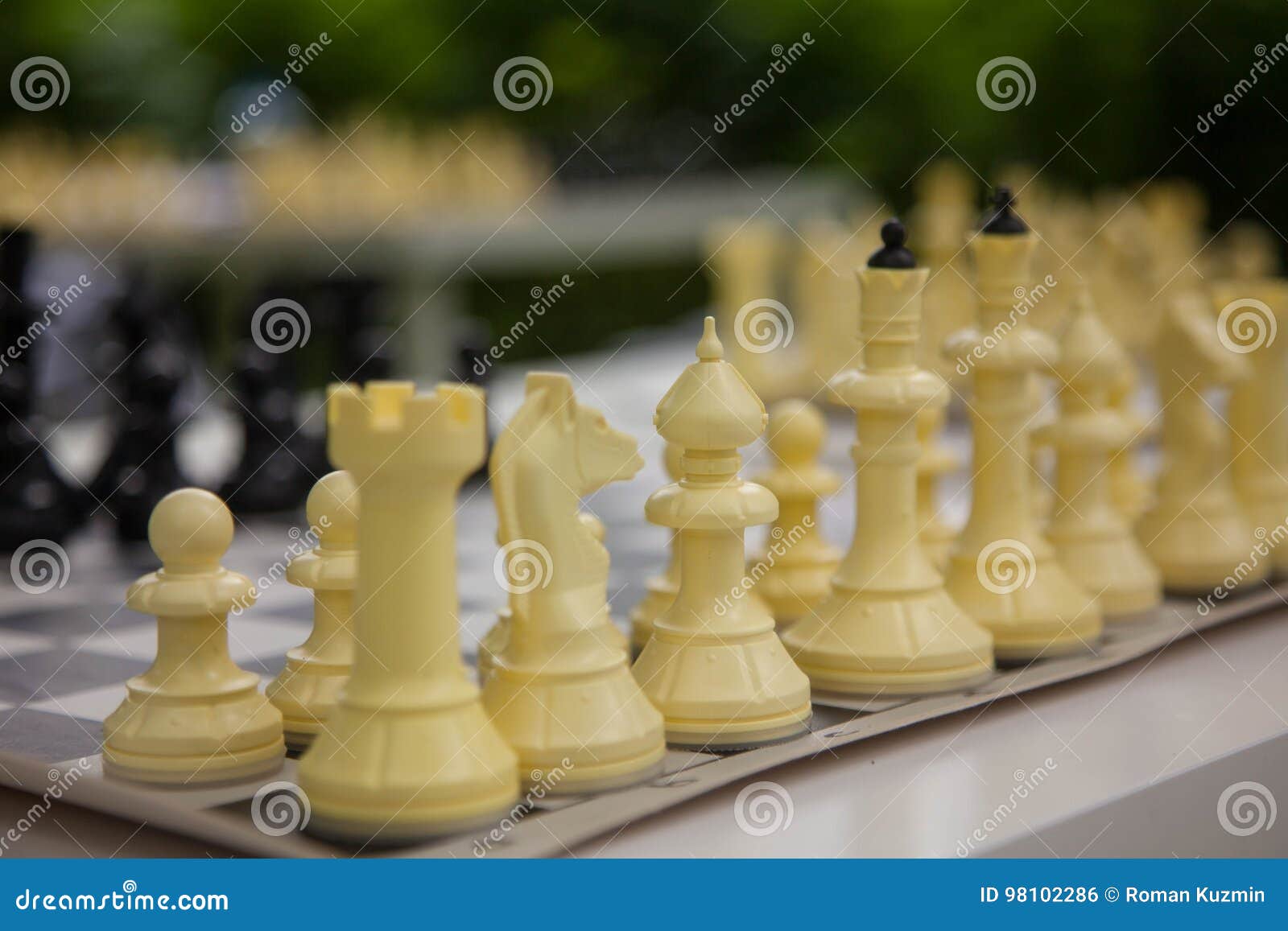 A Game of Chess in the Park Stock Photo - Image of light, contest: 98102286