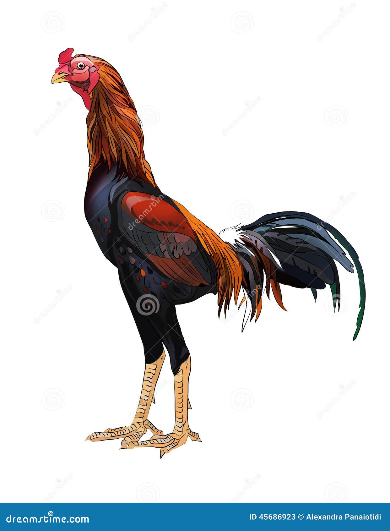 Cockfighting Cartoons, Illustrations & Vector Stock Images - 77 ...