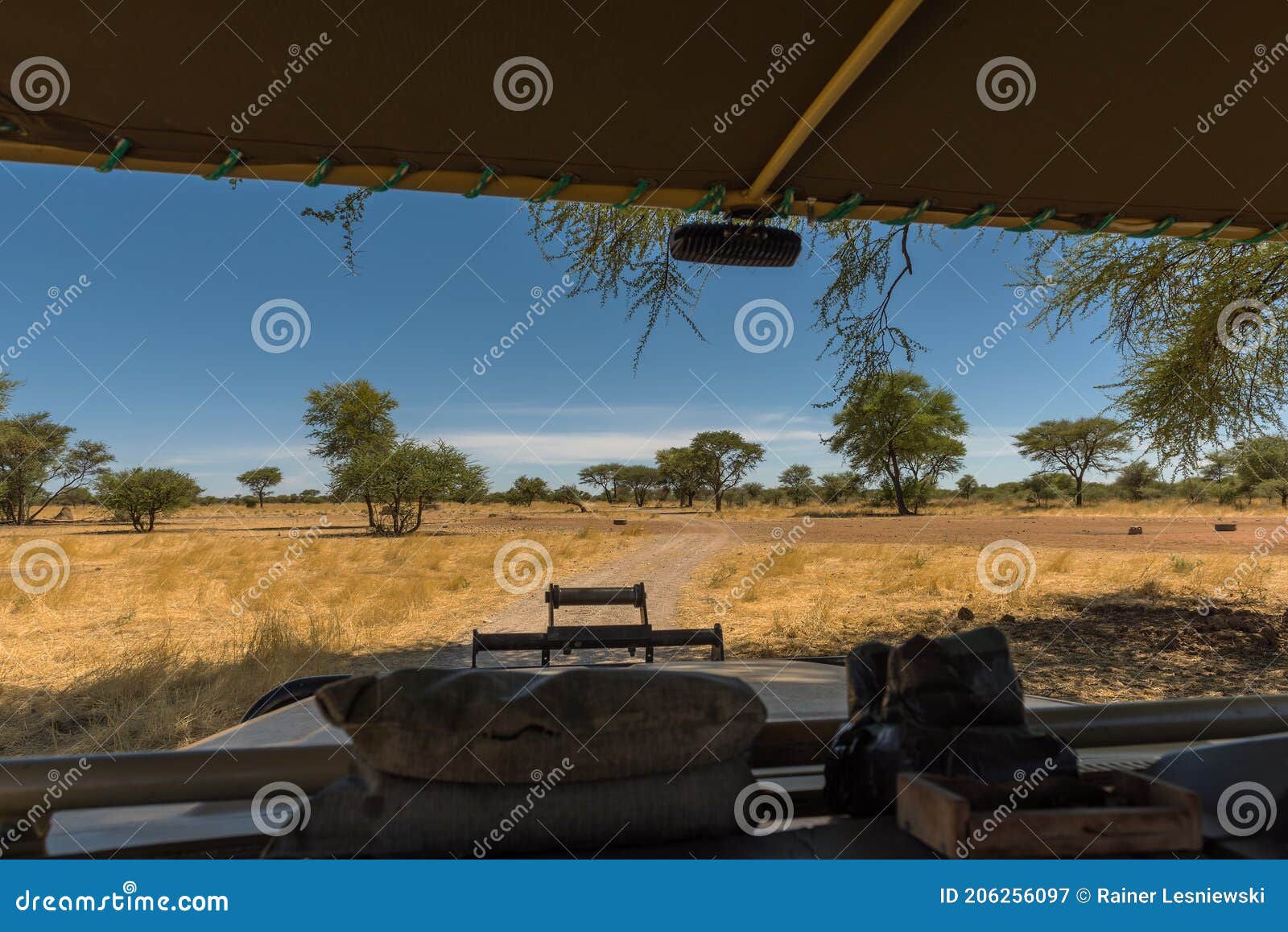 Game Drive on a Guest Farm in Namibia Stock Image - Image of beautiful ...