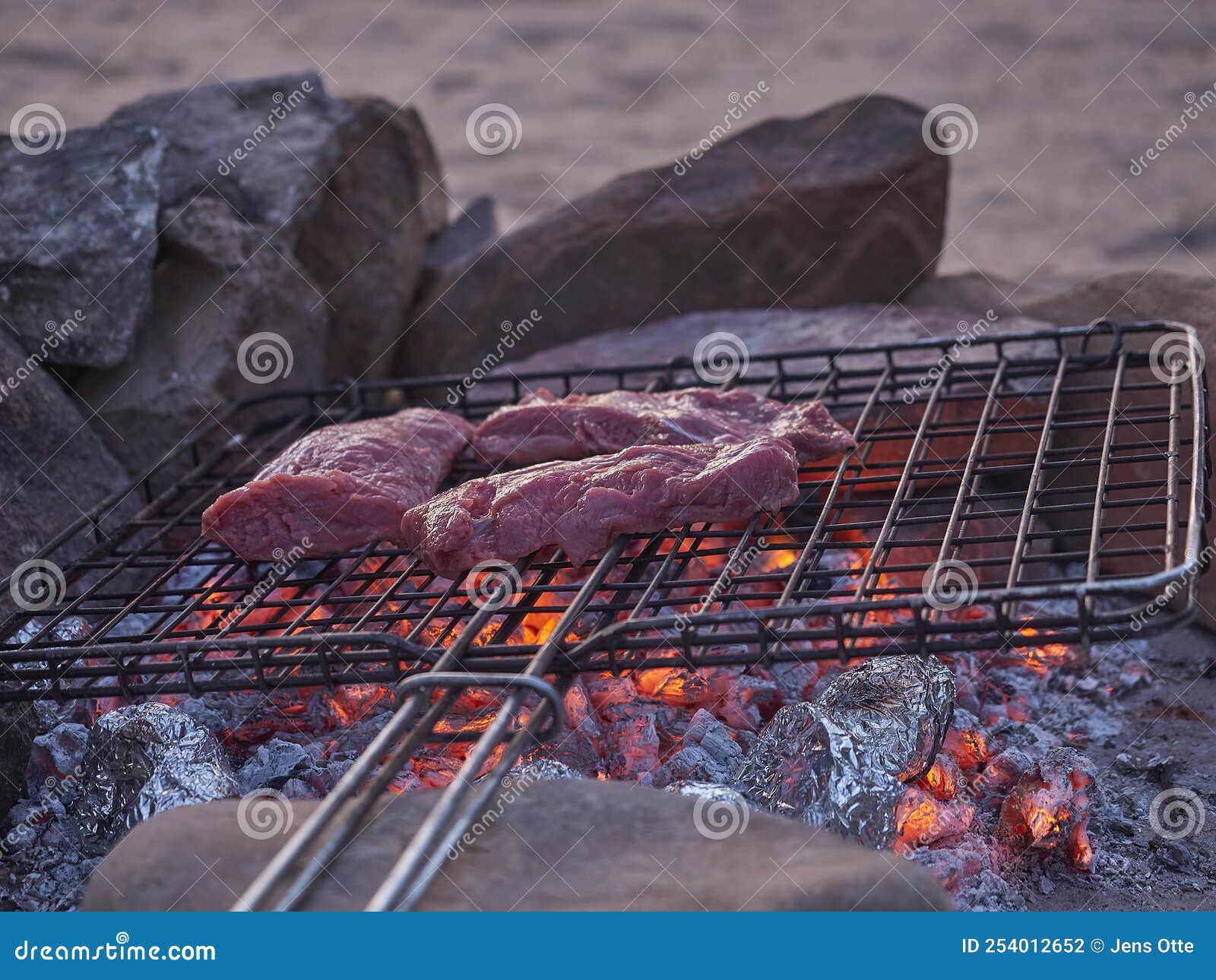 Game Meat Being Roasted on a Barbecue on Open Fire Stock Photo - Image ...