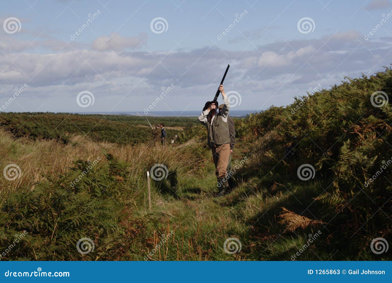 Game Shoot stock image. Image of tree, ecoregion, ecosystem - 1265863