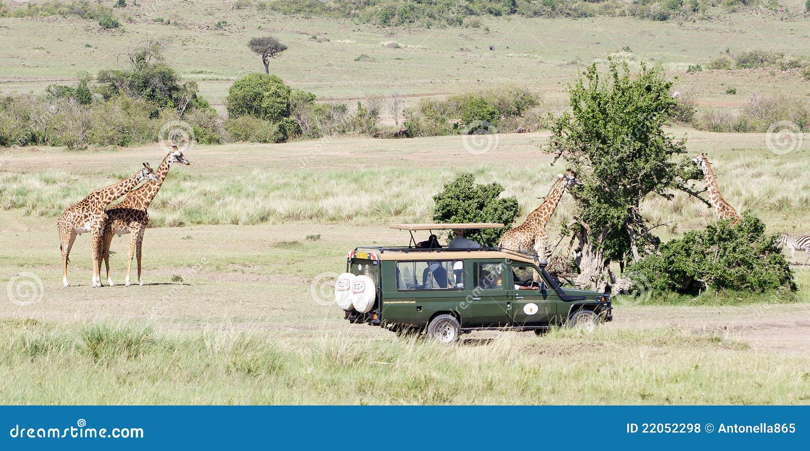 Game Viewing Vehicle In The Savanna Editorial Image | CartoonDealer.com ...