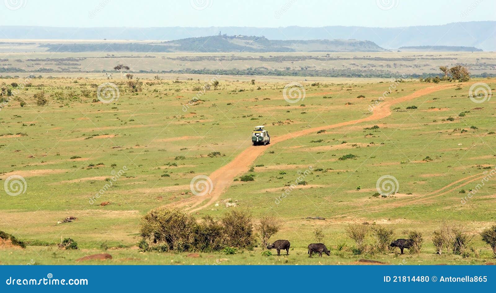 Game Viewing Vehicle in the Savanna Stock Photo - Image of travel ...