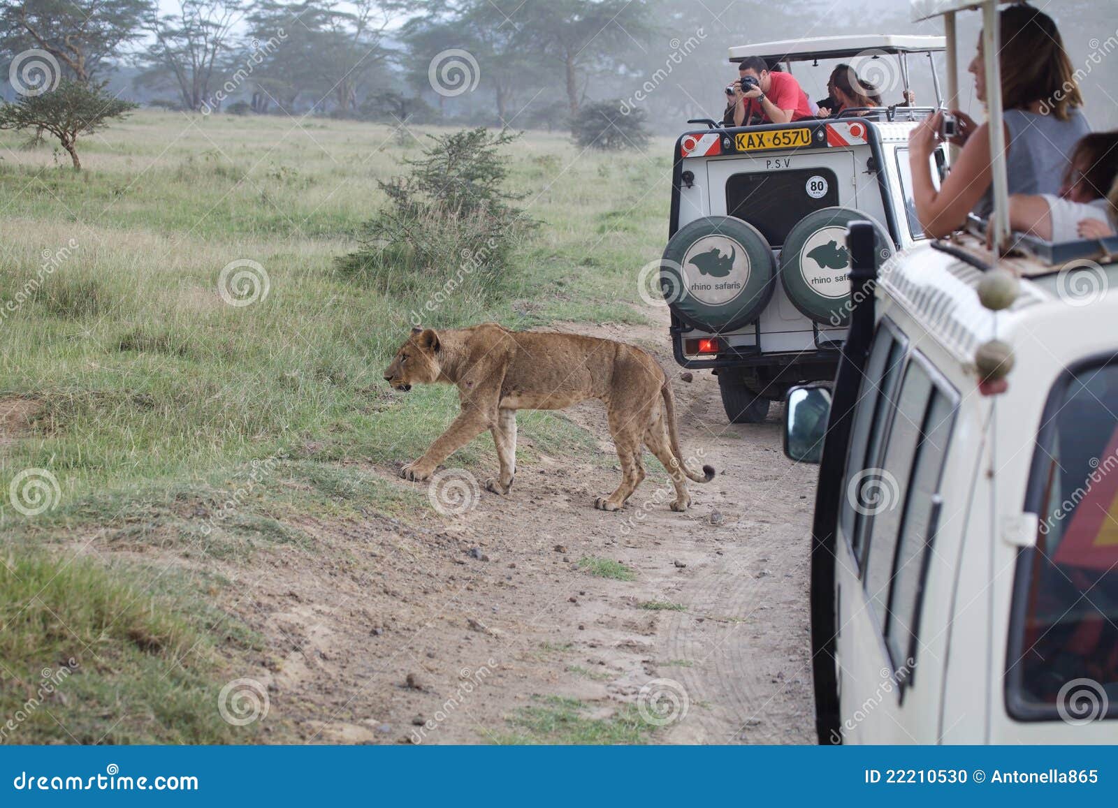 Game Viewing Vehicle in the Savanna Editorial Image - Image of viewing ...