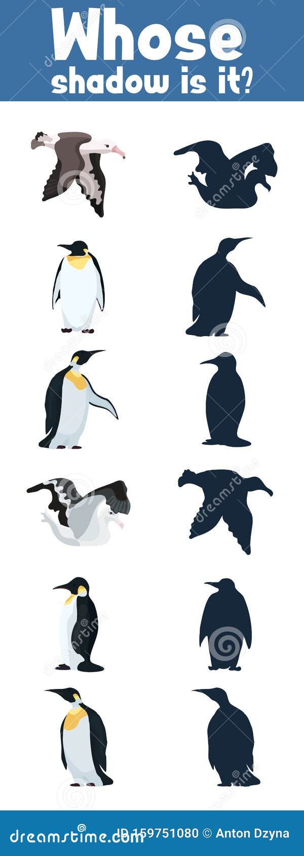 Game Where Whose Shadow Antarctica Wild Birds Stock Illustration ...