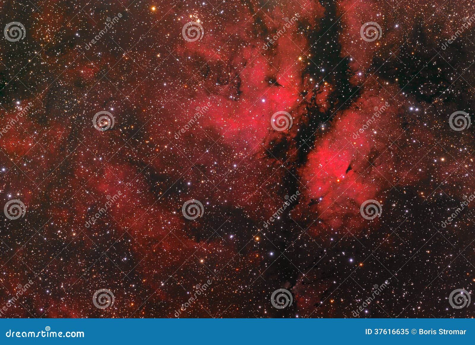Gamma Cygni Nebula stock image. Image of astrology, bright - 37616635