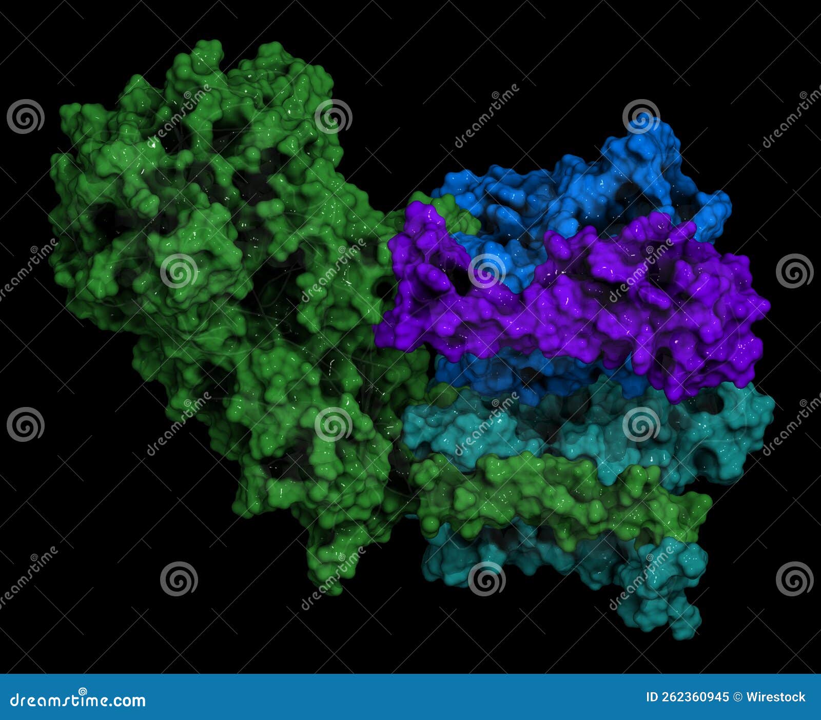 Gamma Secretase Protein Complex. 3D Illustration. Stock Illustration ...