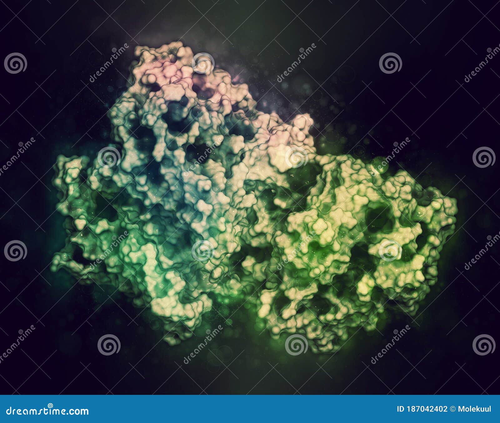 Gamma Secretase Protein Complex. Multi-subunit Intramembrane Protease ...