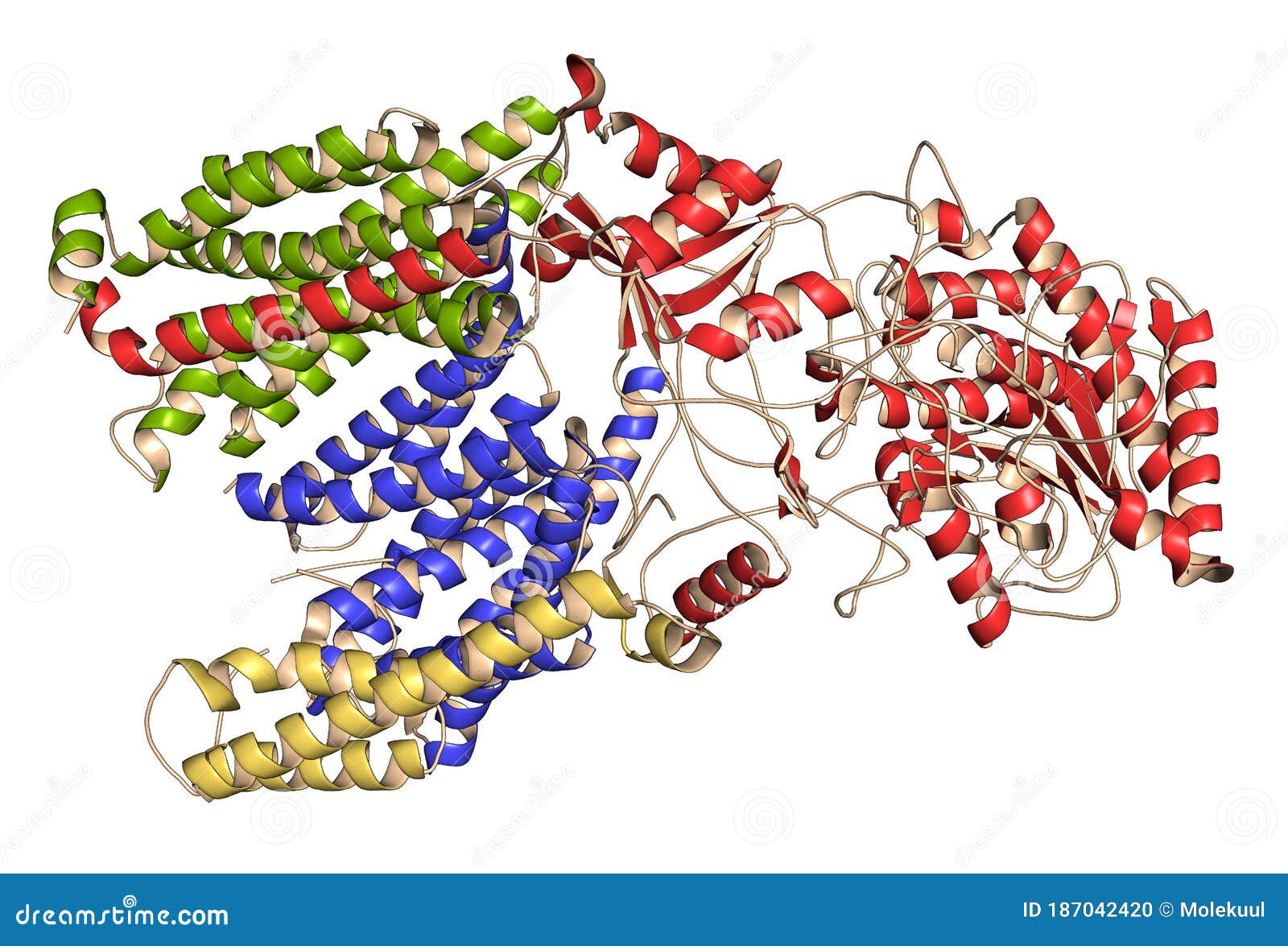 Gamma Secretase Protein Complex. Multi-subunit Intramembrane Protease ...