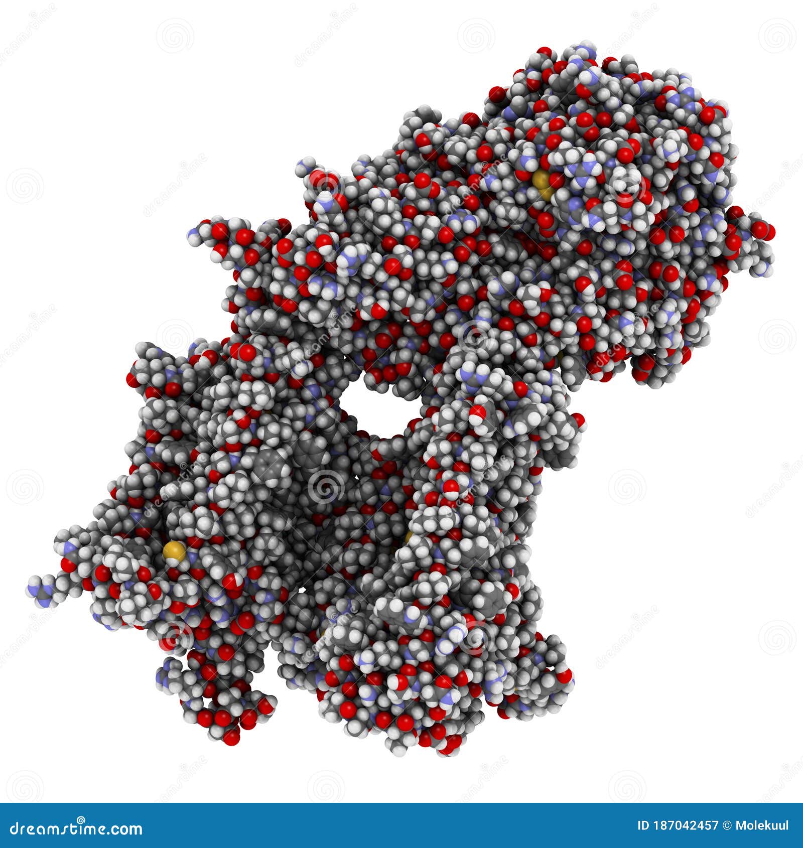 Gamma Secretase Protein Complex. Multi-subunit Intramembrane Protease ...