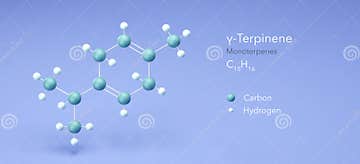 Gamma-terpinene Molecule, Molecular Structures, Terpinene, 3d Model ...