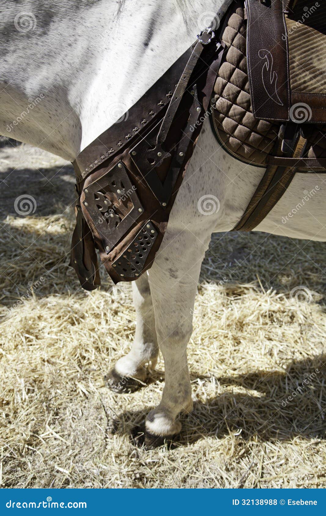 Gammal sadel arkivfoto. Bild av inget, sele, brista, kastanj - 32138988