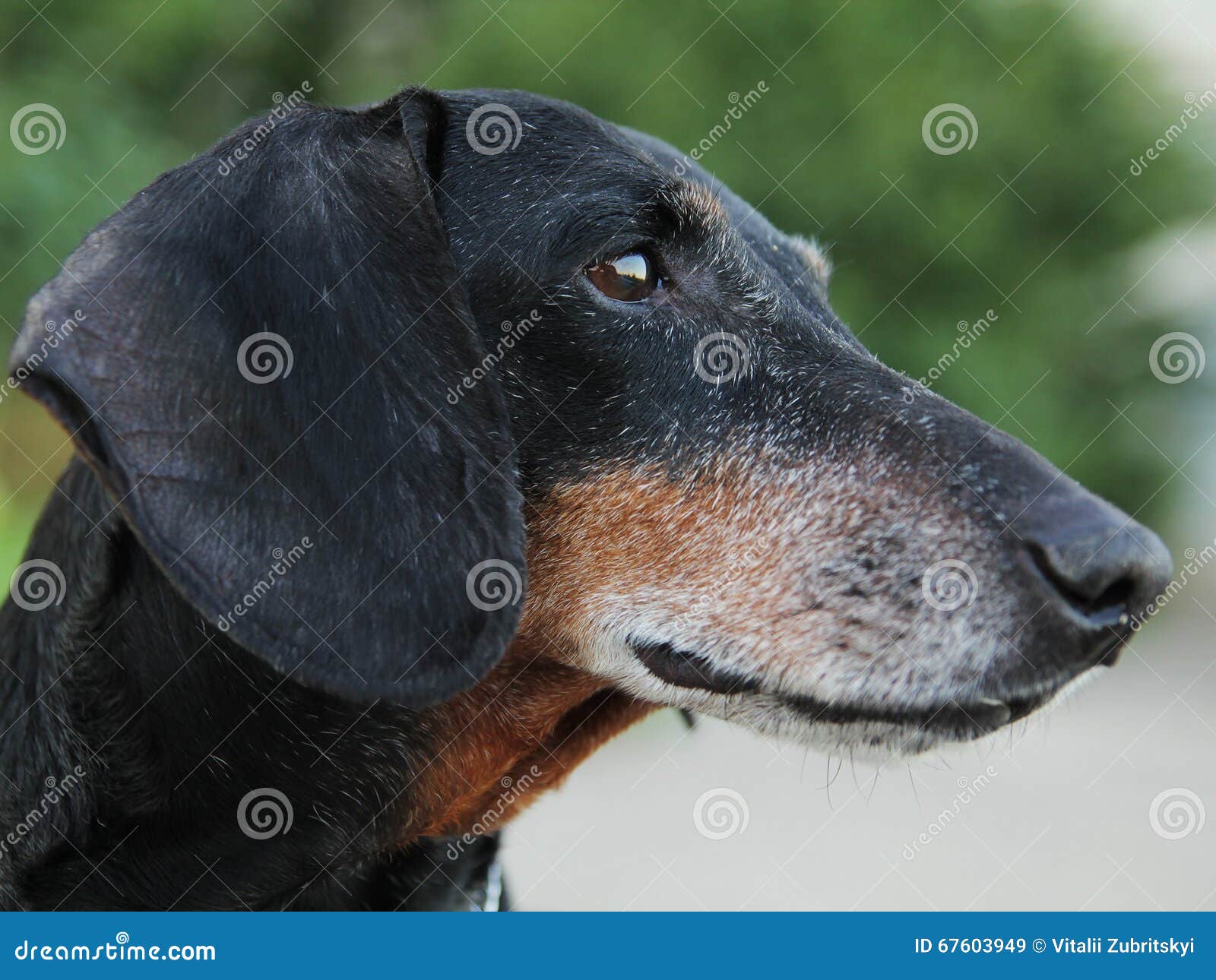 Gammal tax fotografering för bildbyråer. Bild av stöt - 67603949