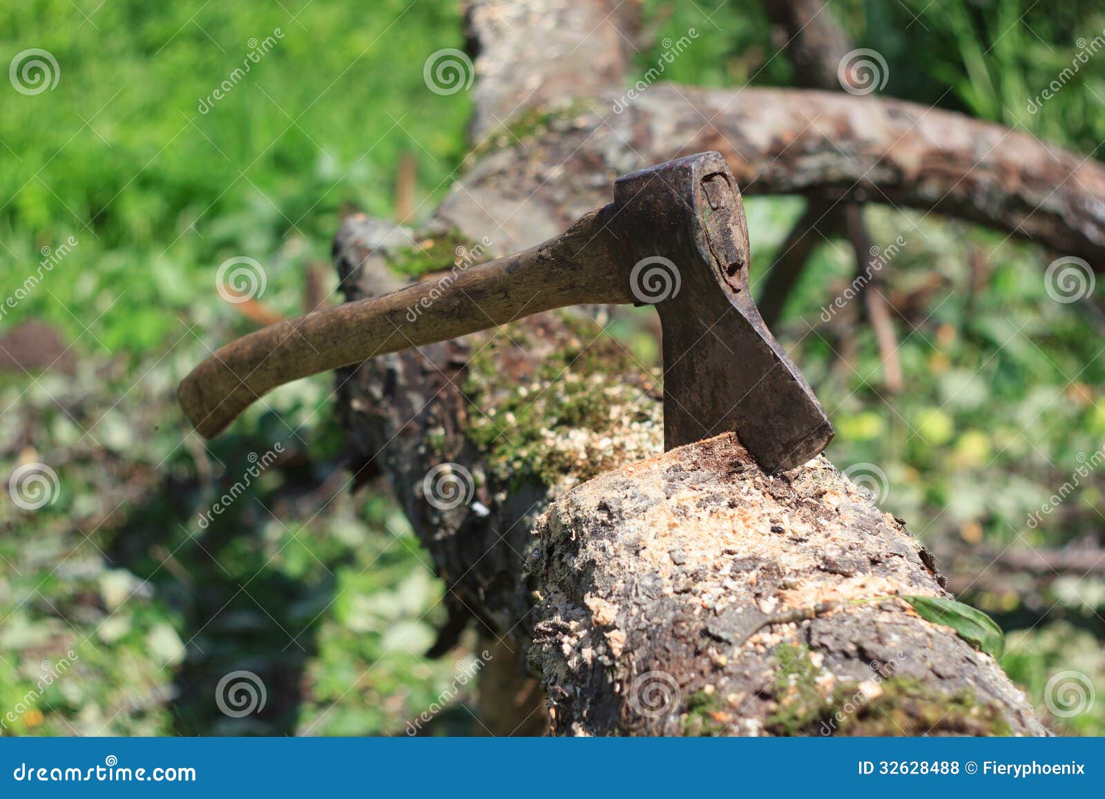 Gammal yxa i stam arkivfoto. Bild av blackout, yxan, utrustning - 32628488