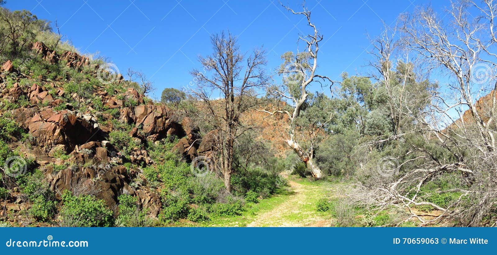 Gammon Ranges, South Australia Stock Image - Image of park, colorful ...