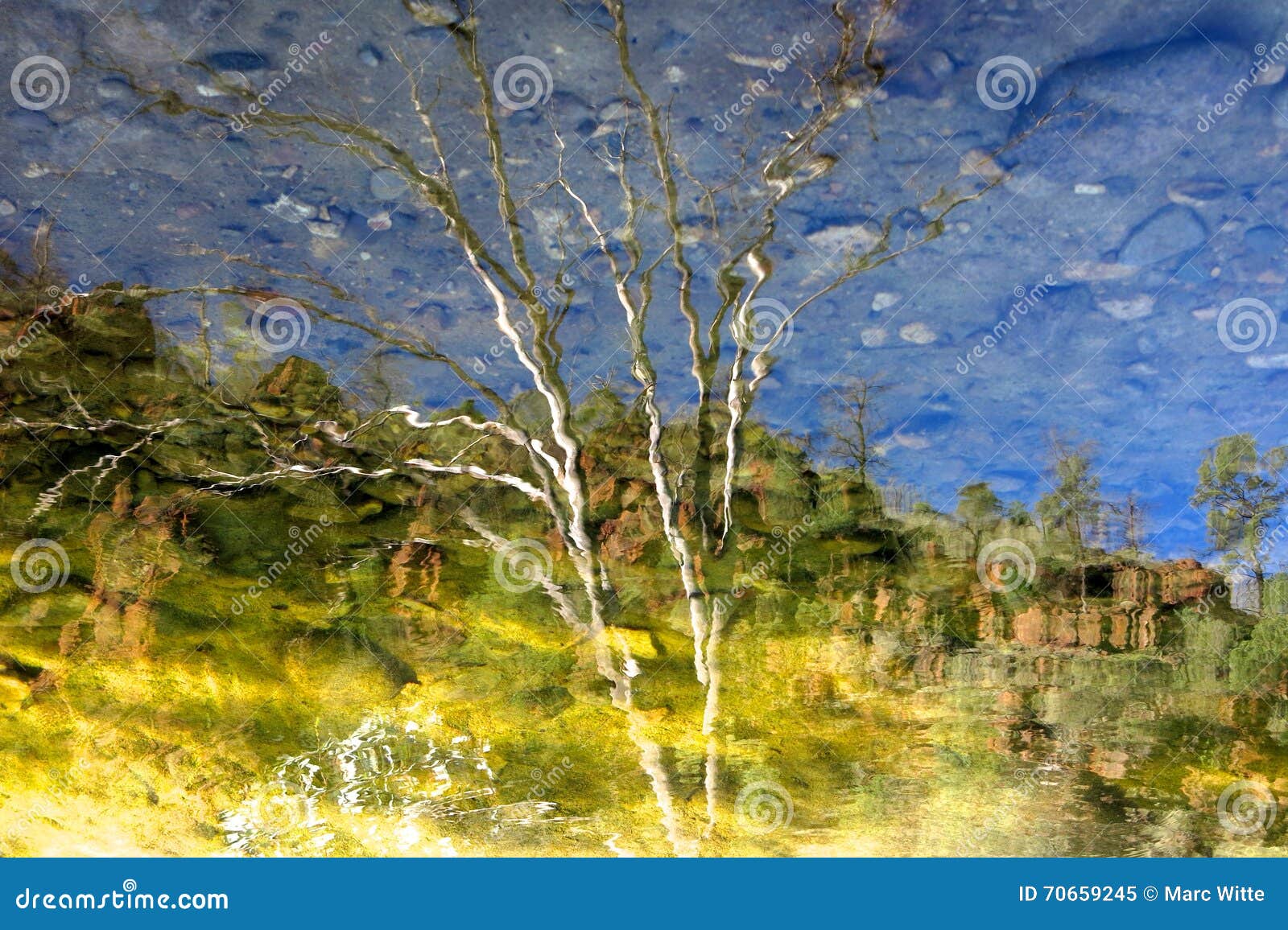 Gammon Ranges, South Australia Stock Image - Image of native, large ...