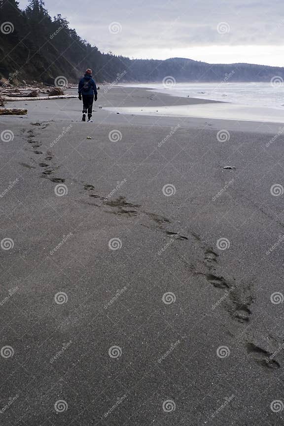 Gang op het strand stock afbeelding. Image of vreedzaam - 12929835